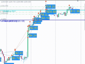 Gold EAgle MT4_5.5 - Robomarket.org